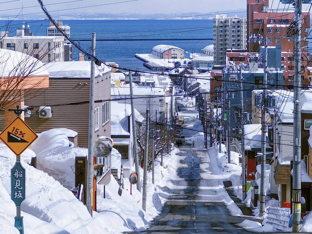 [Cherry Blossom Limited] Romantic Cherry Blossom Tour in Otaru ...